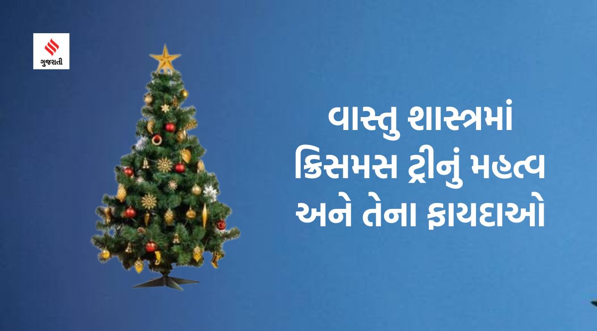 Christmas tree removed Vastu Defect Know Christmas Tree Importance ...