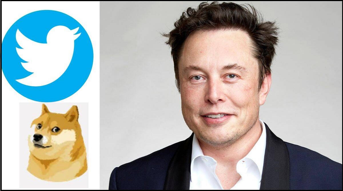 ટ્વીટરનો લોગો બદલાયો, એલન મસ્ક - twitter ceo elon musk change twitter logo