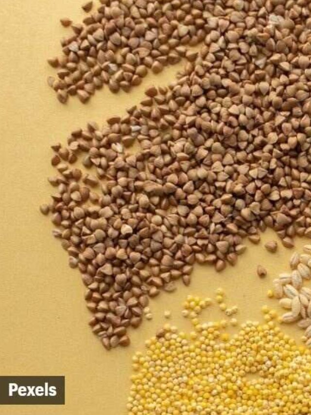 Health Benefits Of Millets : મીલેટ્સનો આ પ્રકાર વિવિધ પોષક તત્વોથી ...