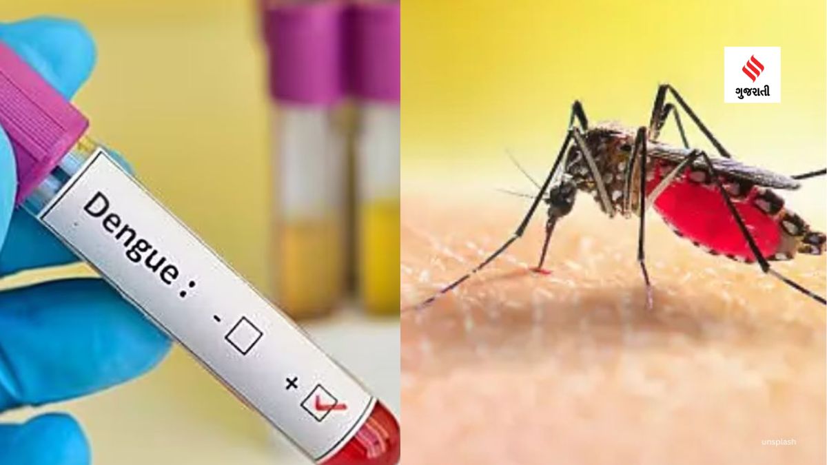 Dengue Cases : ડેન્ગ્યુના કેસોમાં વધારો, આટલી બાબતોનું ધ્યાન રાખવું જરૂરી