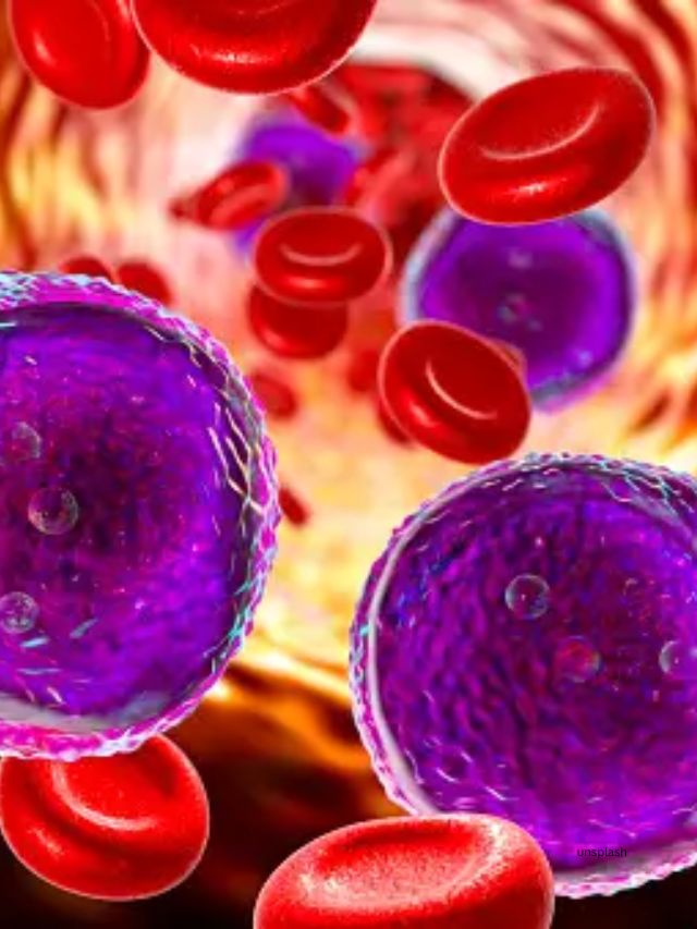 Blood Cancer Awareness Month : બ્લડ કેન્સરના ચિહ્નો અને લક્ષણો જાણો,આ ...