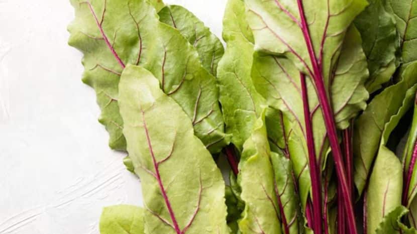 Green Palak Or Red Palak : લીલી પાલક અથવા લાલ પાલક, જાણો કઈ પાલક સૌથી ...