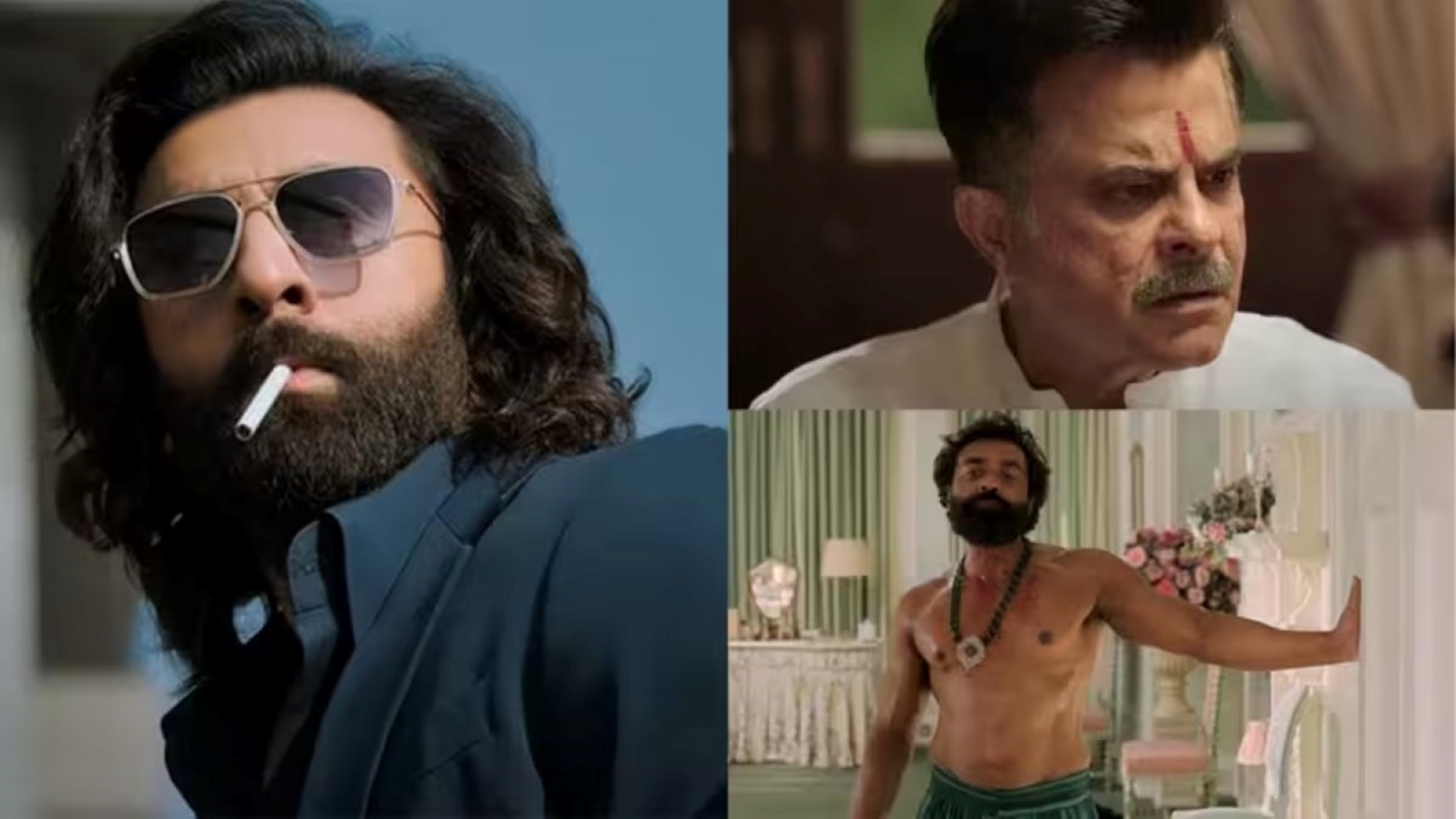 એનિમલ સ્ટાર કાસ્ટ રણબીર કપૂર રશ્મિકા મંદાના બોબી દેઓલ અનિલ કપૂર ફી ...