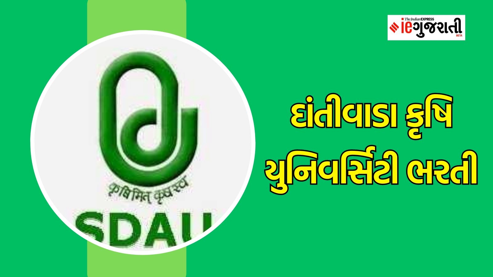 દાંતીવાડા કૃષિ યુનિવર્સિટી ભરતી|Dantiwada krushi University bharti