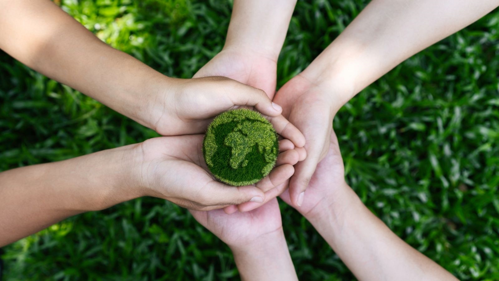 World Environment Day 2024 વિશ્વ પર્યાવરણ દિવસ થીમ મહત્વ ઈતિહાસ આબોહવા ...