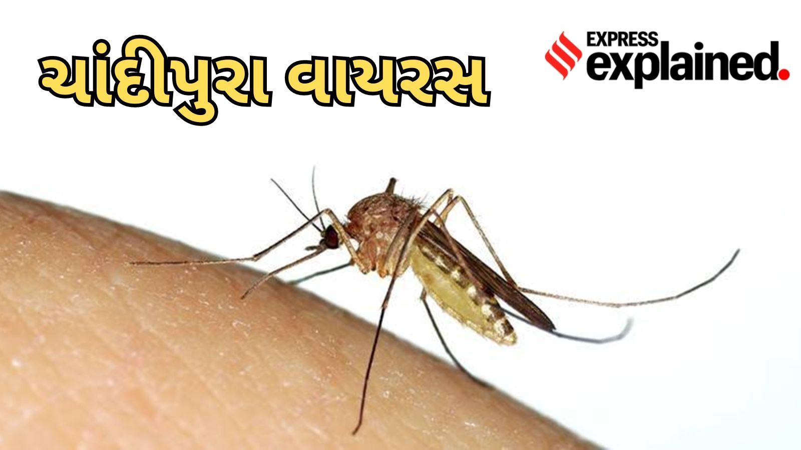 ચાંદીપુરા વાયરસથી બાળકોના મોત ગુજરાતમાં, ચાંદીપુરા વાયરસ લક્ષણો, અને ...