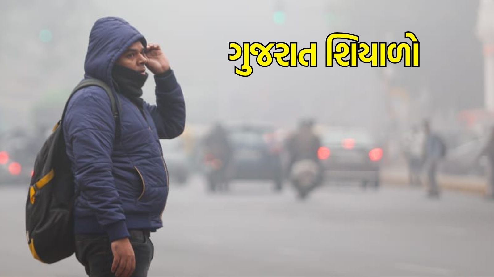 Gujarat Weather Forecast : ગુજરાતમાં શિયાળો ઠંડીનો પારો ગગડ્યો