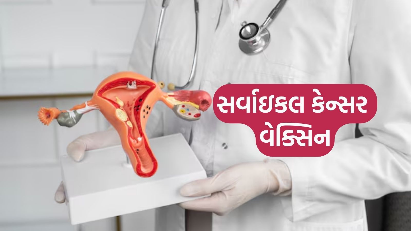 Cervical Cancer Vaccine: મહિલાઓને સર્વાઇકલ કેન્સર વેકિસન લગાવવાની યોગ્ય ...