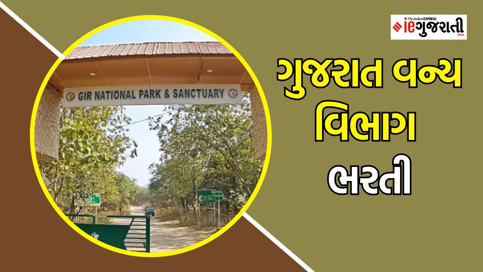 ગુજરાત વન્ય વિભાગ ભરતી - Gujarat forest department recruitment