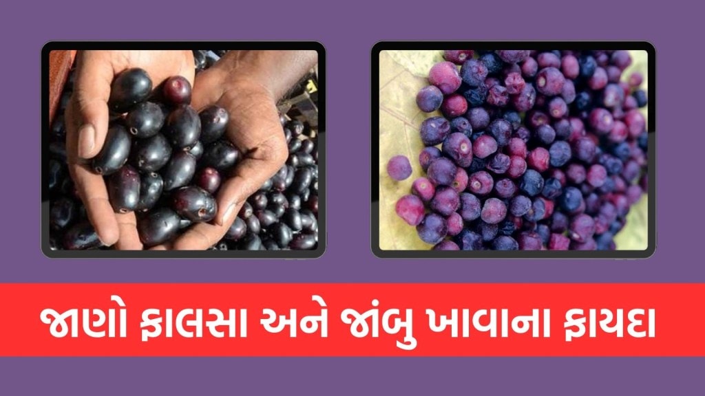 Know the benefits of eating falsa and jamun | જાણો ફાલસા અને જાંબુ ...