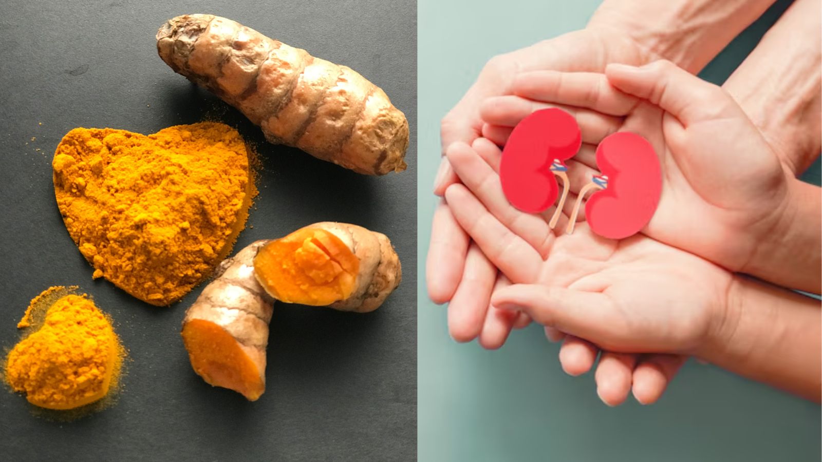 કિડની પર હળદરની આડઅસરો । Turmeric and Kidney Safety in Gujarati | કિડની પર હળદરની આડઅસરો