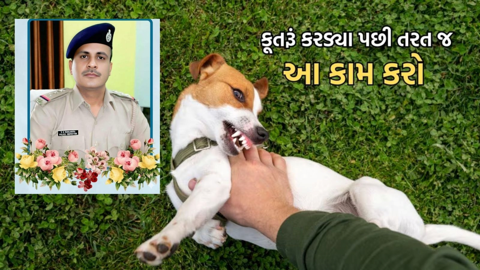 Police inspector dies of rabies in Ahmedabad | અમદાવાદમાં હડકવાના કારણે ...